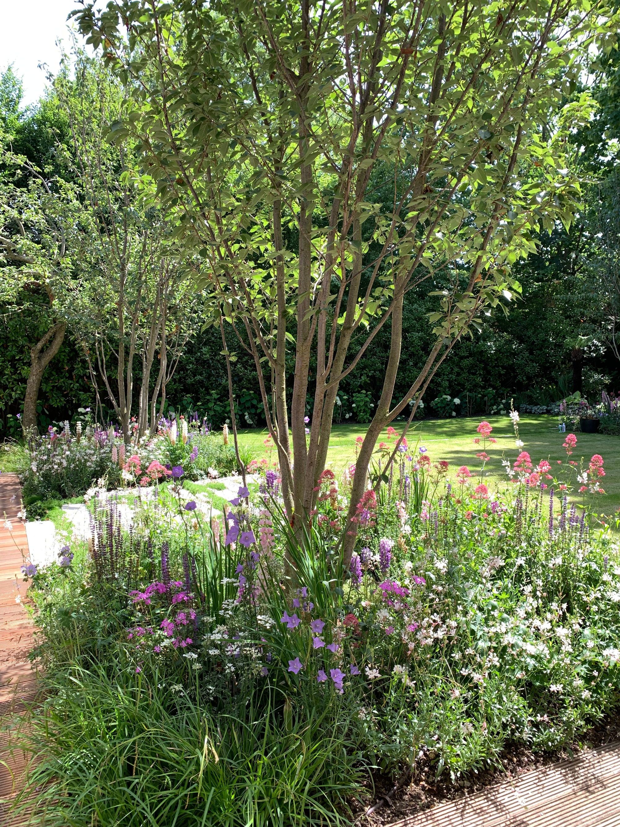 Stadtgarten | Urban Trees